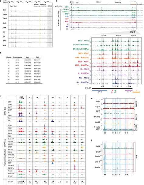 benc is a multi modular enhancer and recruits haematopoietic