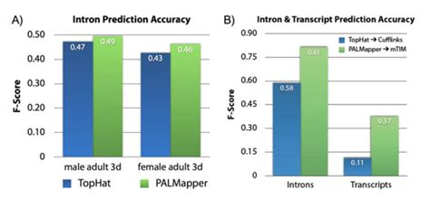 A Accuracy F Score Of Intron Predictions In 3 Day Old Adults Of D Download Scientific