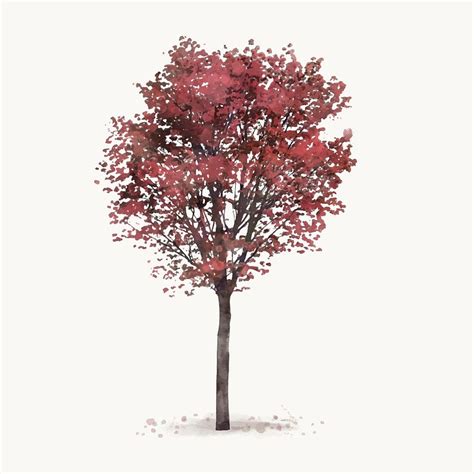 Watercolor Tree Images Free Photos PNG Stickers Wallpapers