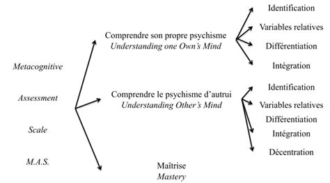 Différents Domaines De La Metacognitive Assessment Scale Daprès