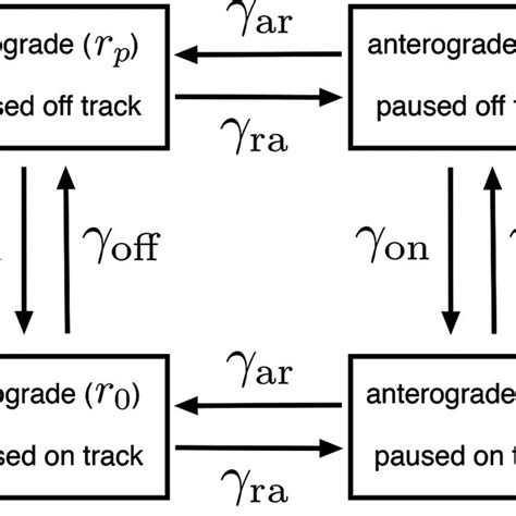Schematic Of A Node Of Ranvier Along A Myelinated Axon A Download Scientific Diagram