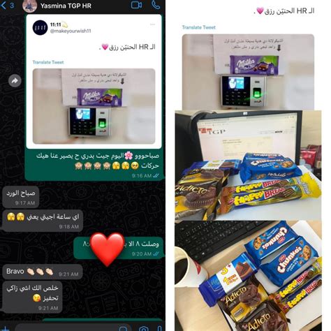 Tasneem Alqudah On Linkedin Volt Hrms