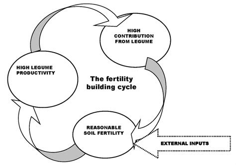 The Conceptual Framework Showing Challenges In Processes Driving Soil
