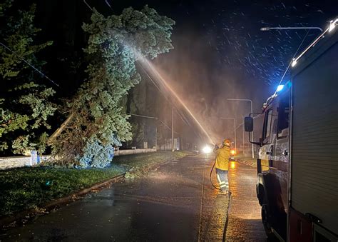 Durante El Temporal Cayó Un árbol Y Generó Un Incendio
