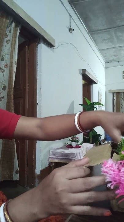 Massho Thaka Parsal Alo Youtubeshorts Youtube