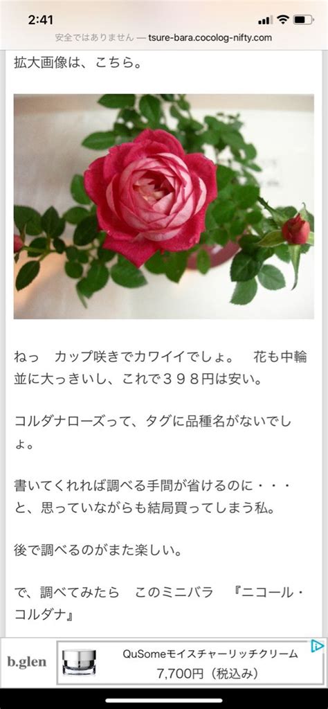 Pin by もかちまま on 欲しいバラ Flowers Rose Plants