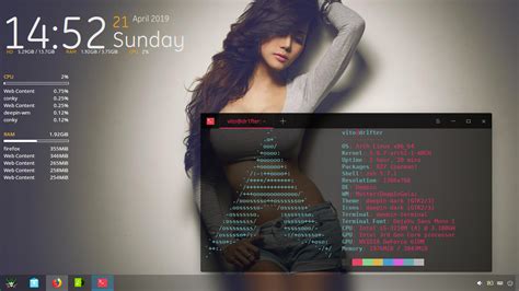 Deepin And Conky R Unixporn