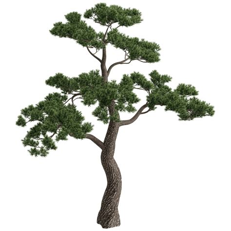 Trees 3d Model A23d