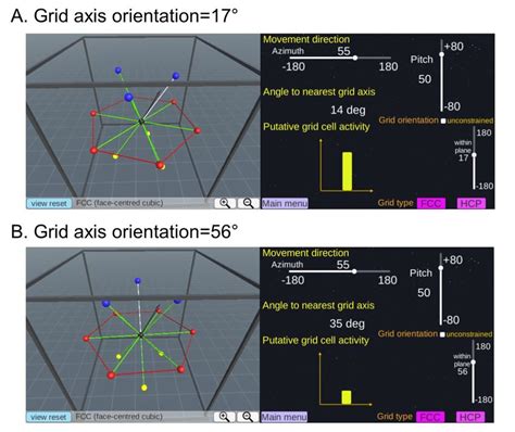 The Orientation Of The Grid Axis Relative To The Environment The Download Scientific Diagram