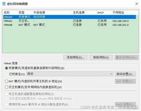 problem 1 vmware网络虚拟编辑器添加vmnet0 ida远程调试 虚拟网路编辑器 csdn博客