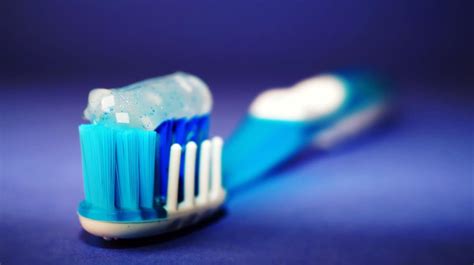 Why You Need To Use Toothpaste Alternatives Ecomasteryproject