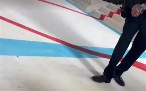 Cockroach On Met Gala Red Carpet Steals The Show The Standard