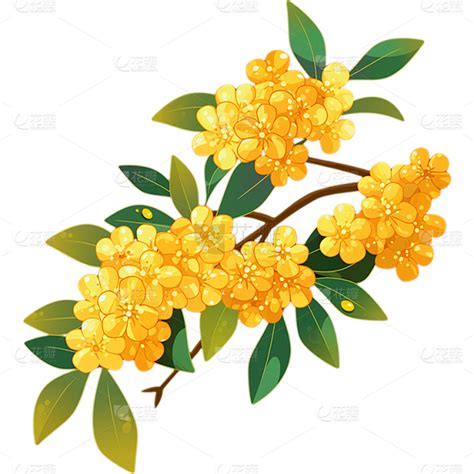 中秋节插画桂花元素贴纸