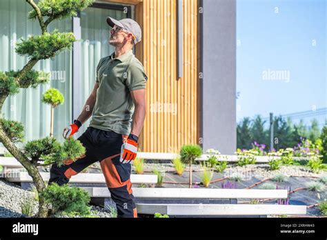 A Gardener Prunes A Small Tree In Front Of A Contemporary House