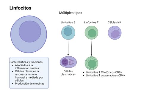 Proceso Inflamatorio Patología General Veterinaria