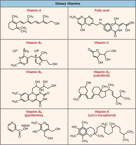 Enzymes OpenStax Biology