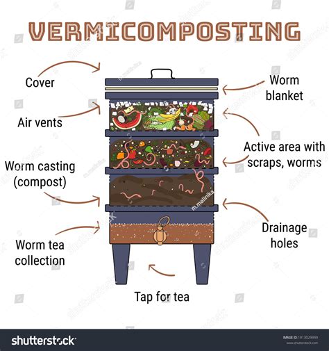 Vermicomposting의 인포그래픽 Vermicomposter 구성 요소 Vermicomposter 스톡 벡터로열티 프리