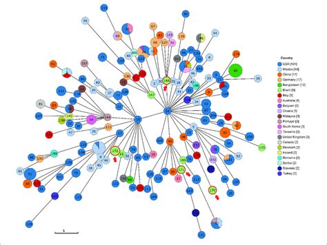 Tree Representation Of The Genetic Relationships Among The Different Download Scientific