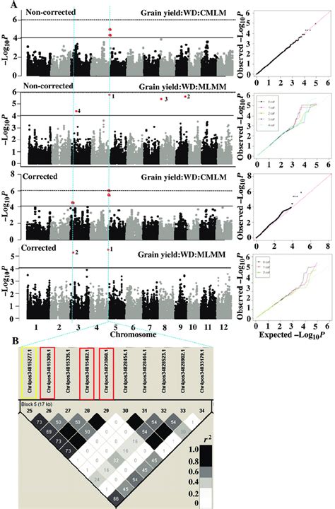 a gwas results manhattan and quantile quantile plot detected