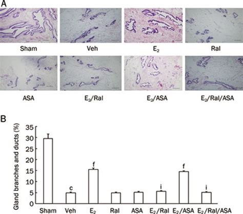 Combination Of Raloxifene Aspirin And Estrogen As Novel Paradigm Of Hormone Replacement Therapy