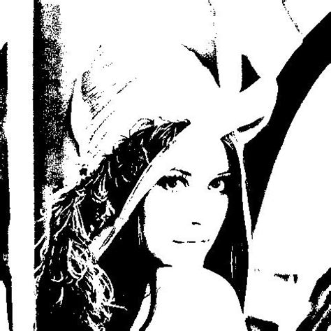 MATLAB如何将RGB或者灰度图像转换为二值图像 matlabrgb转换为二值 CSDN博客