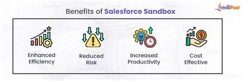 Salesforce Sandbox A Detailed Guide On Its Types And Benefits