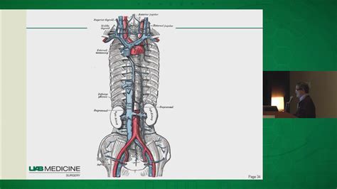 Diverse Applications Of Intraoperative PTH Testing YouTube