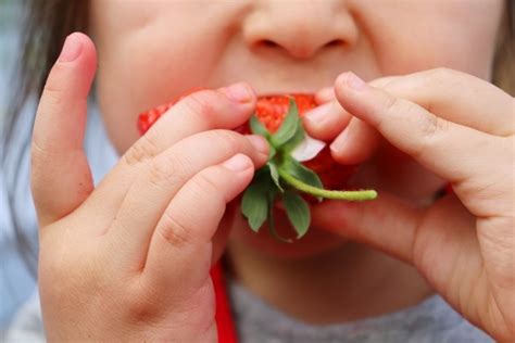 光佑文化 教案設計靈感 水果主題 多元智能