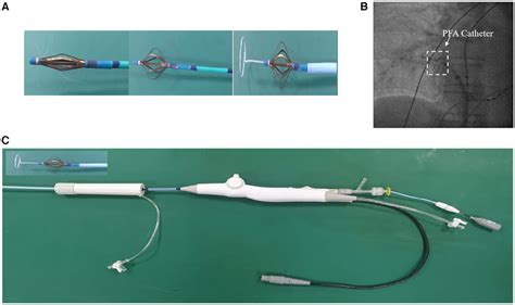 Pulsed Field Ablation Catheter A Appearance Of The Pfa Catheter Tip Download Scientific