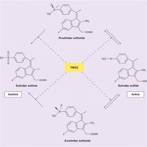 Pdf Genetic Polymorphisms Of Human Flavin Containing Monooxygenase 3 Implications For Drug