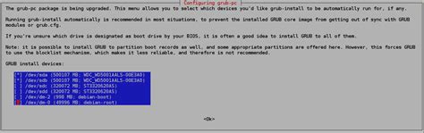 Grub Is Grub Installed To All The MBR Of A RAID Array By Default By The Debian Installer