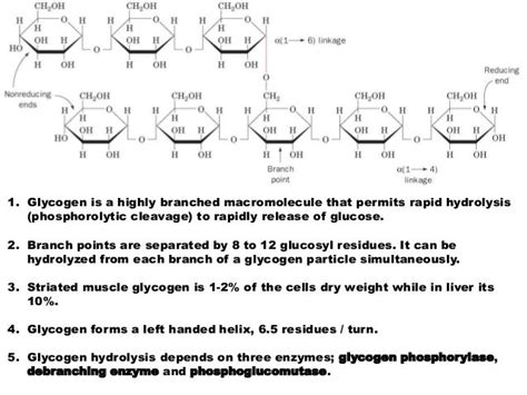 Biochemistry2 2016 Lecture Glycogen Metabolismppt