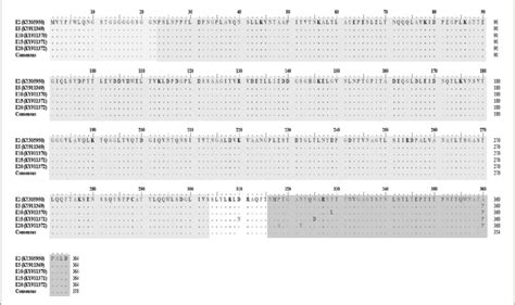 multiple sequence alignment obtained by clustalw [12] of a 364