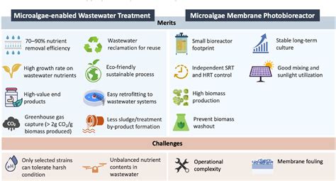 Figure 1 From Microalgae Enabled Wastewater Remediation And Nutrient