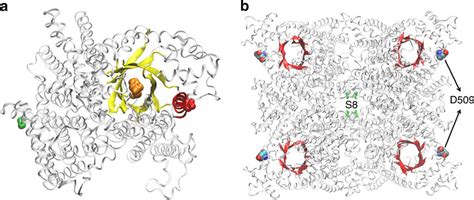 Phosphoenolpyruvate Structure