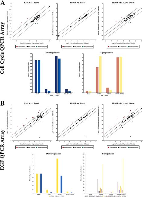 Q Pcr Array A Human Qpcr Arrays For Cell Cycle Related Gene Were