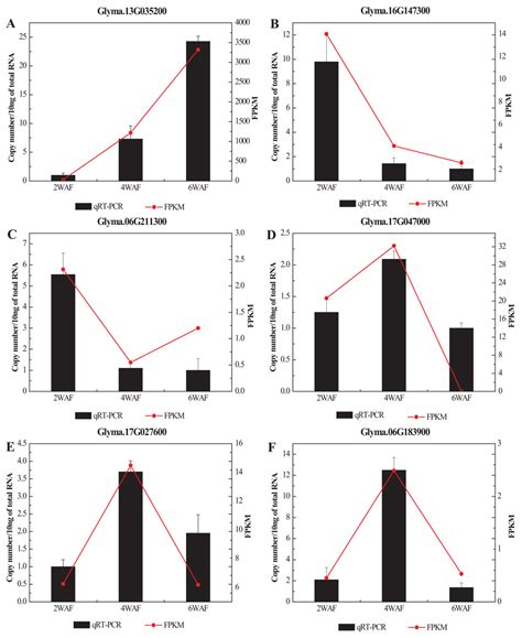 Comparative Transcriptome Analysis During Seeds Development Between Two