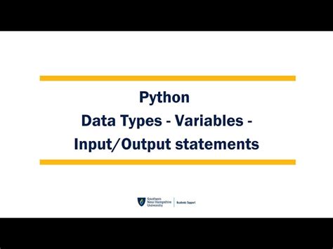 Output Data Python Plugin Customize Output Schema Insightconnect