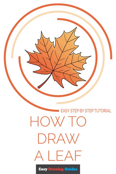 How To Draw A Maple Leaf Really Easy Drawing Tutorial