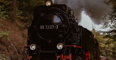 가을 경치 경치가 좋은 계절 관광 교통 기계의 기관차 기관차 엔진 기술 기차 나무 나뭇잎 낮은 색소폰 네디에스 녹지 농촌의 담배를 피우다