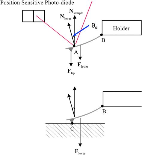 The Schematic Diagram Of The Tip Cantilever System Point A Is The Download Scientific Diagram
