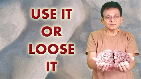 Decoding The Brain A Comprehensive Guide To Parts And Functions YouTube