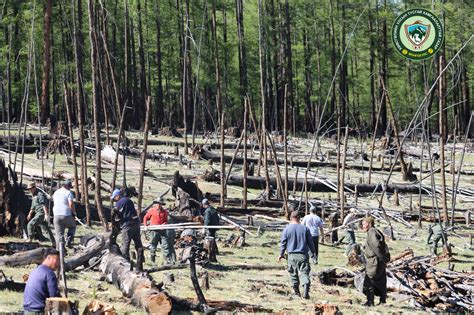 🇲🇳🌲🌱☘️ОЙ МОД ️ ЭХ ОРОН🍀🌿🌱🌲🇲🇳 Хөвсгөл нуурын зүүн эргийн Дорготын үзүүр гэх газарт 1997 онд
