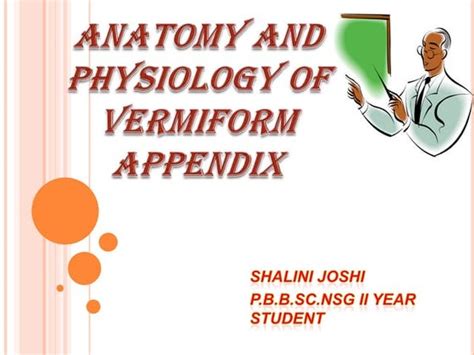 Anatomy Of Appendix Ppt