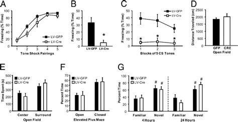 Prelimbic Bdnf Is Critical For Consolidation And Expression Of Learned Download Scientific