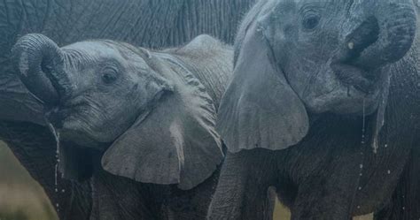 How To Add A Gradient Overlay To A Background Image Using Just Css And Html Web Dev Etc My