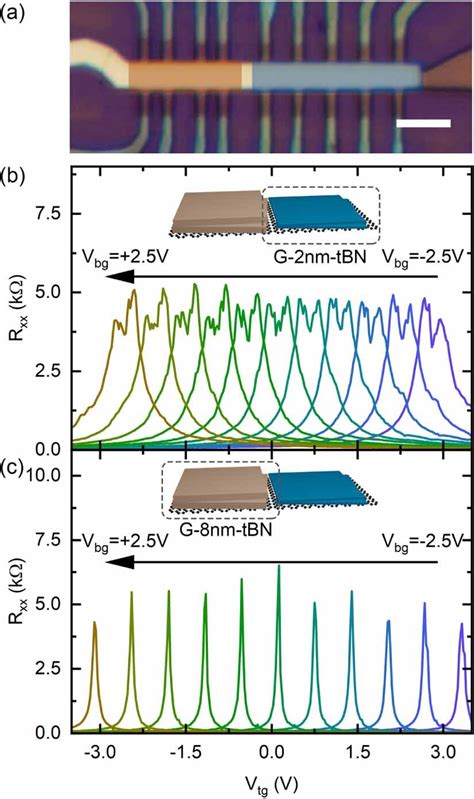 Longitudinal Resistance Of Monolayer Graphene On Twisted Boron Nitride
