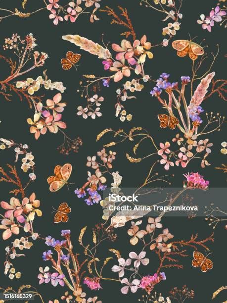 말린 꽃과 나비가 수채화로 그려진 꽃무늬 이음새가 없는 패턴 벽지 야생화와 허브가 있는 직물을 위한 수채화 인쇄 0명에 대한 스톡 벡터 아트 및 기타 이미지 Istock