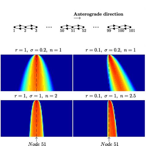 It Illustrates A Directed One Dimensional Lattice With 101 Nodes And