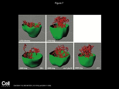 Volume 119 Issue 7 Pages December 2004 Ppt Download